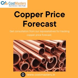 Get Copper Price Chart India by CostMasters, Mohali, India